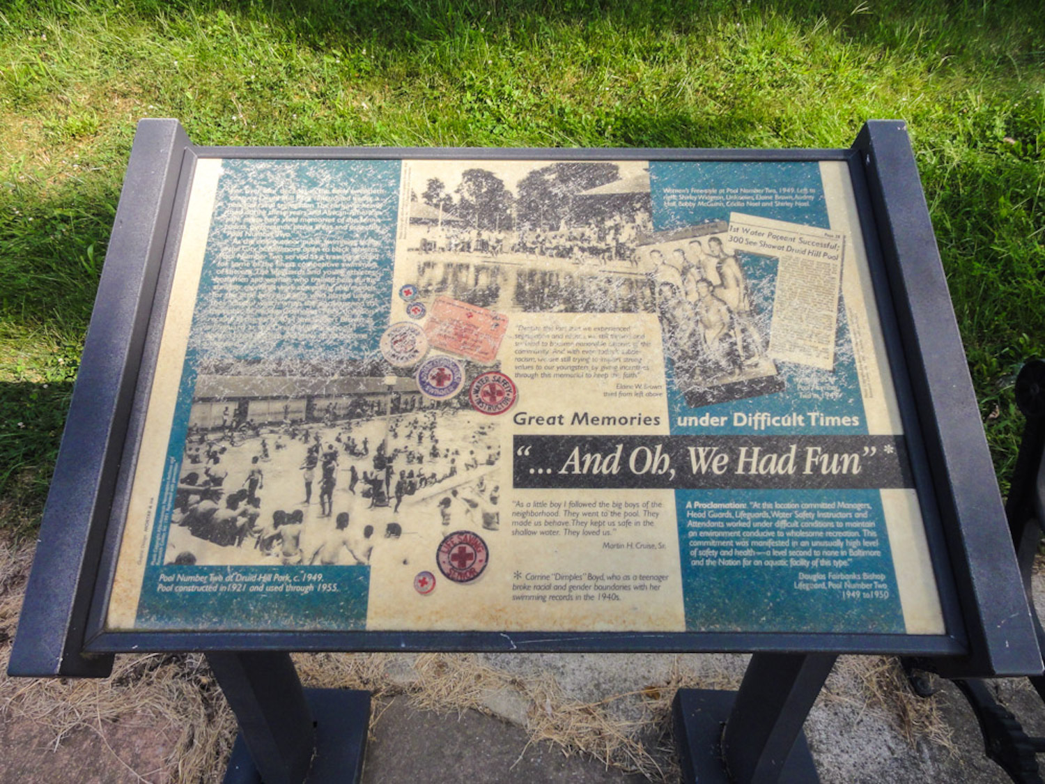 Struggle and Joy in the Druid Hill Park Memorial Pool - BmoreArt