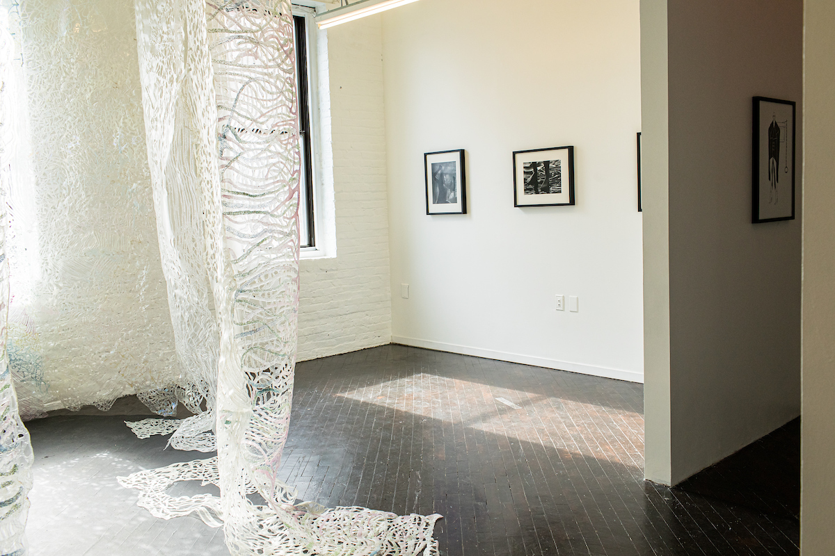 Art AND: Carlyn Thomas - BmoreArt