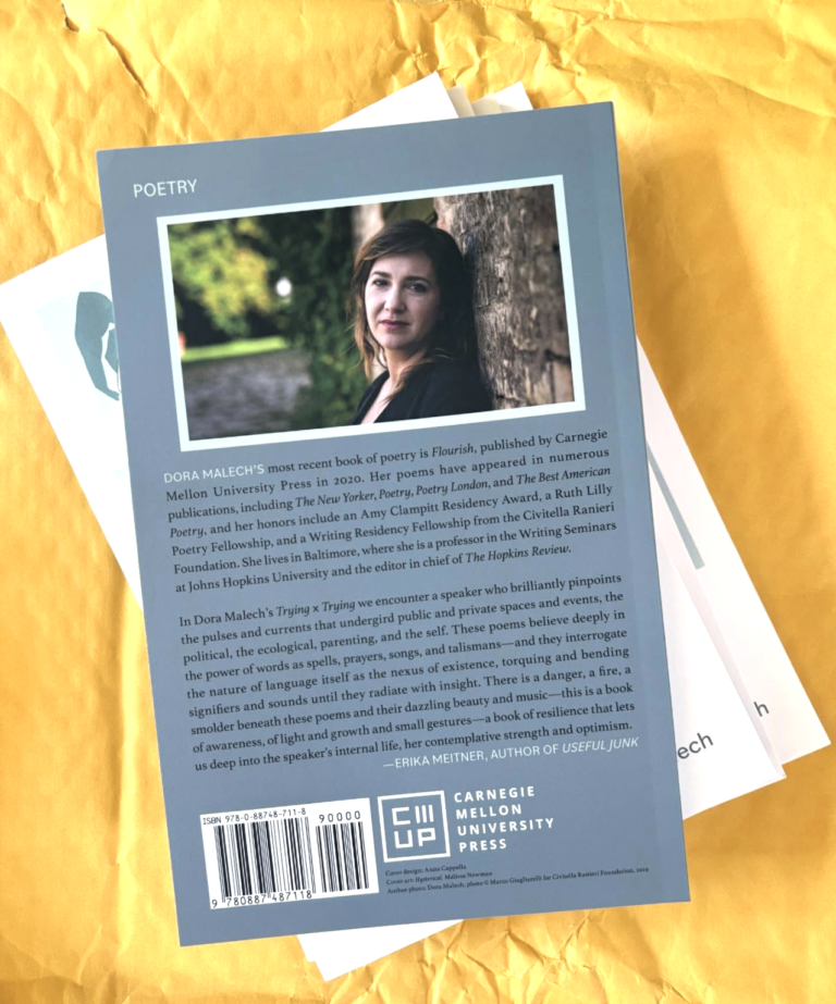 Book Review: Trying x Trying by Dora Malech - BmoreArt